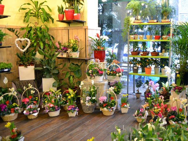 Florile de 8 Martie îi costă pe români peste 20 milioane Euro ...