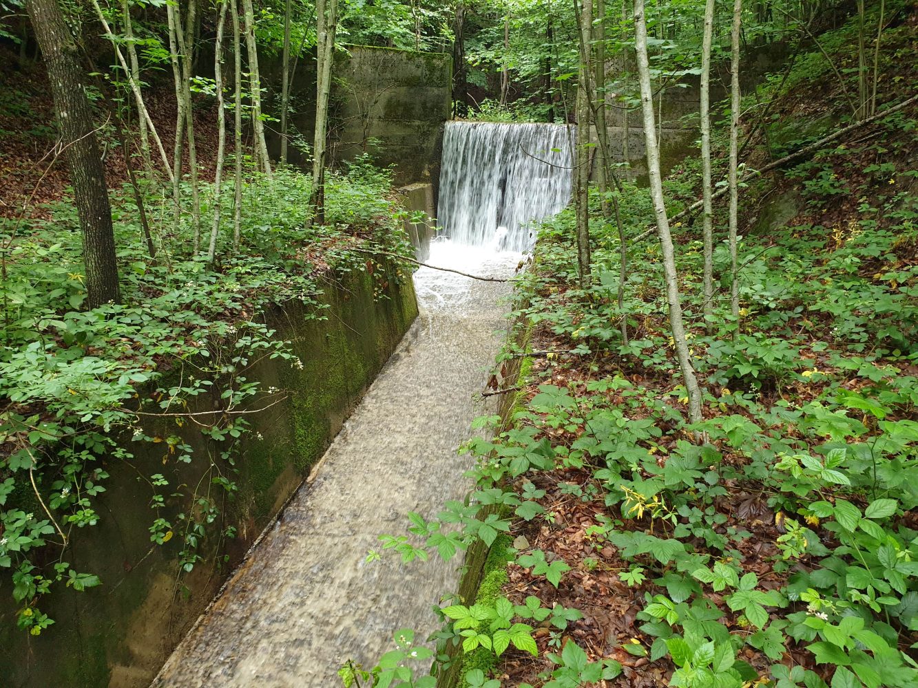 Romsilva va realiza investiții în lucrări de corectare a torenților ...