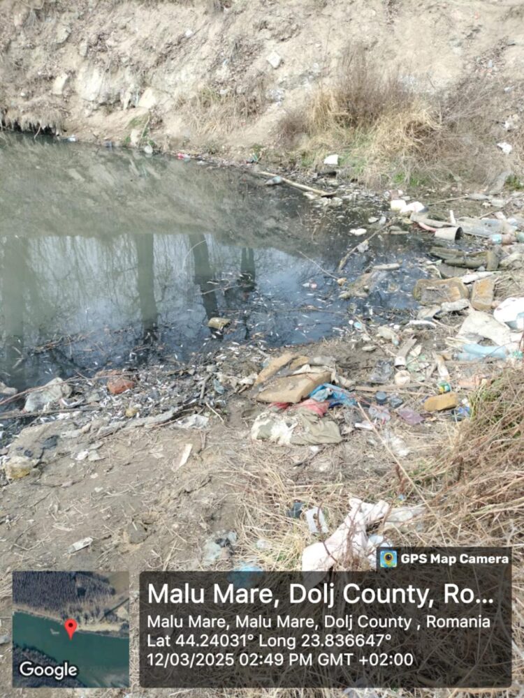 Administraţia Bazinală de Apă Jiu monitorizează râul Jiu, după ce au ...